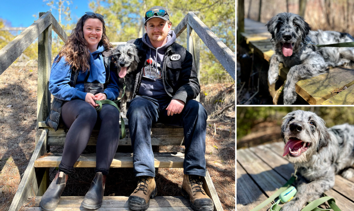 Happy National Pet Day from Ontario Barks 2025 - Ontario Parks Blog