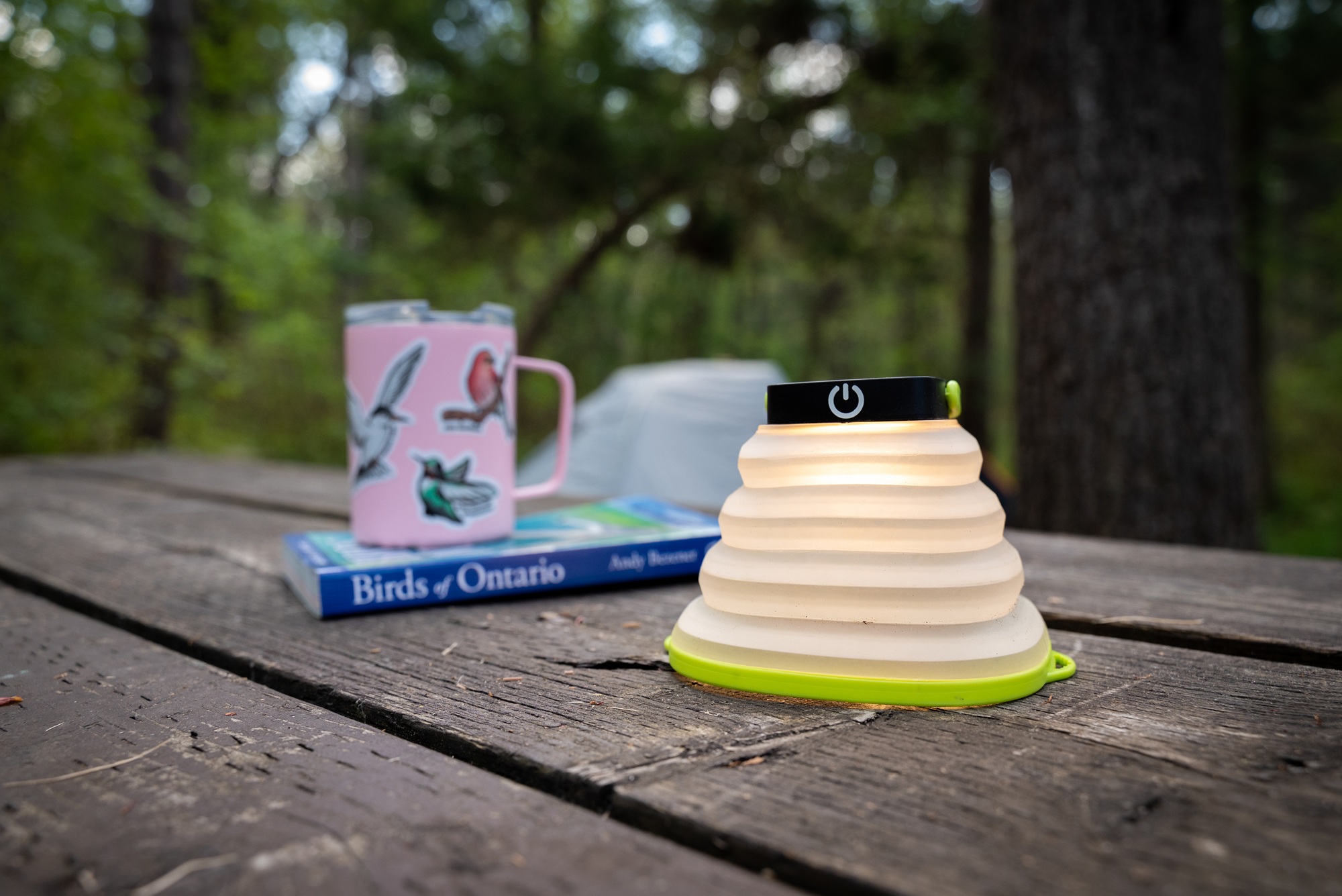 How to plan a zero-waste camping trip - Ontario Parks Blog