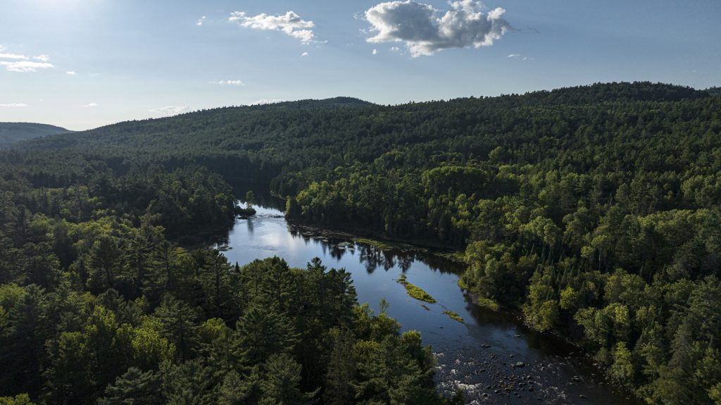 5 reasons to visit Selkirk Provincial Park - Ontario Parks Blog