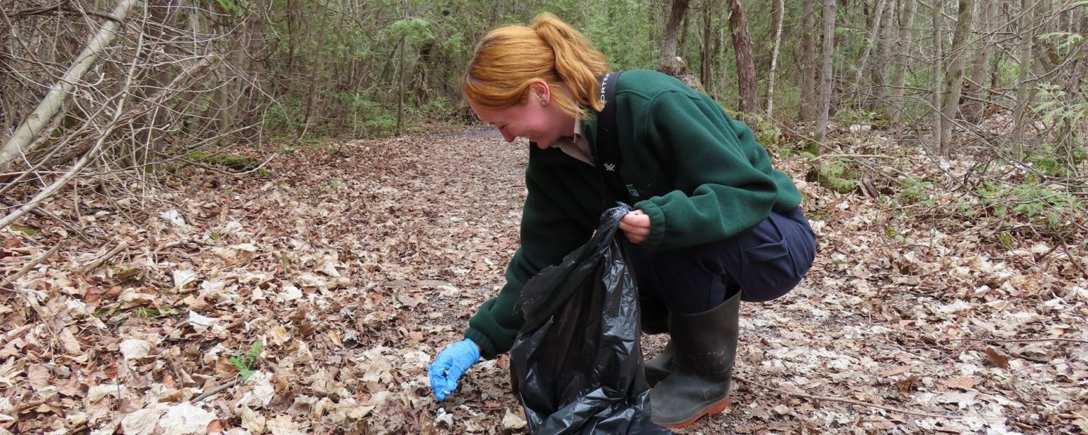 Participate in our park cleanup with Earth Rangers - Ontario Parks Blog