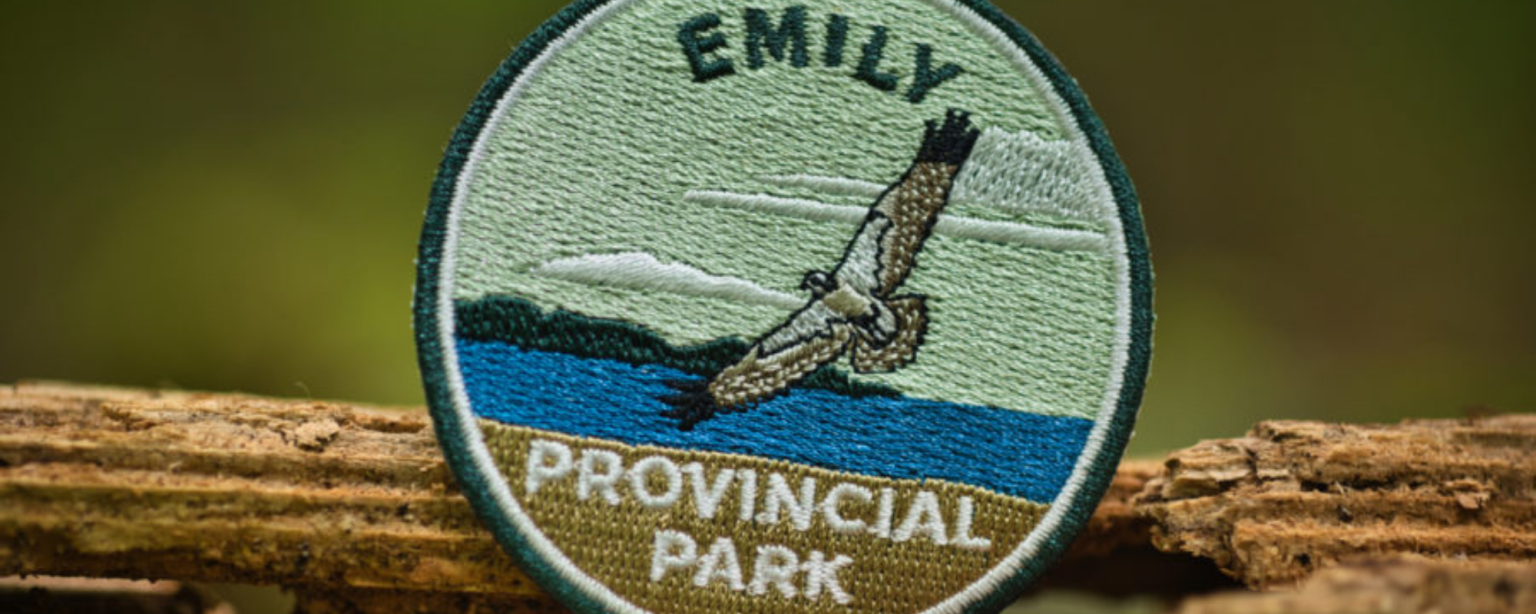 Behind the scenes: life as a Discovery Leader at Emily Provincial Park