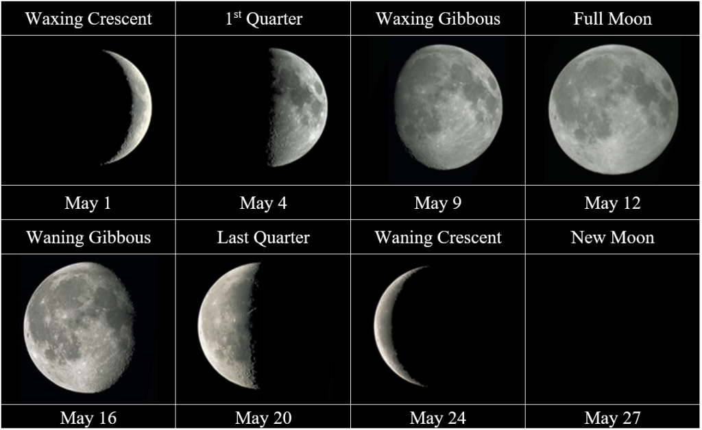 Eyes on the skies — May | Ontario Parks