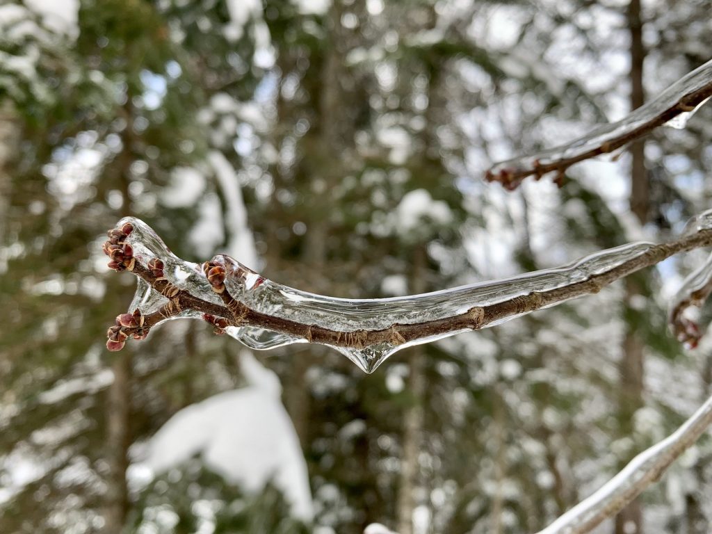 Skate through a winter wonderland on the MacGregor Point ice trail