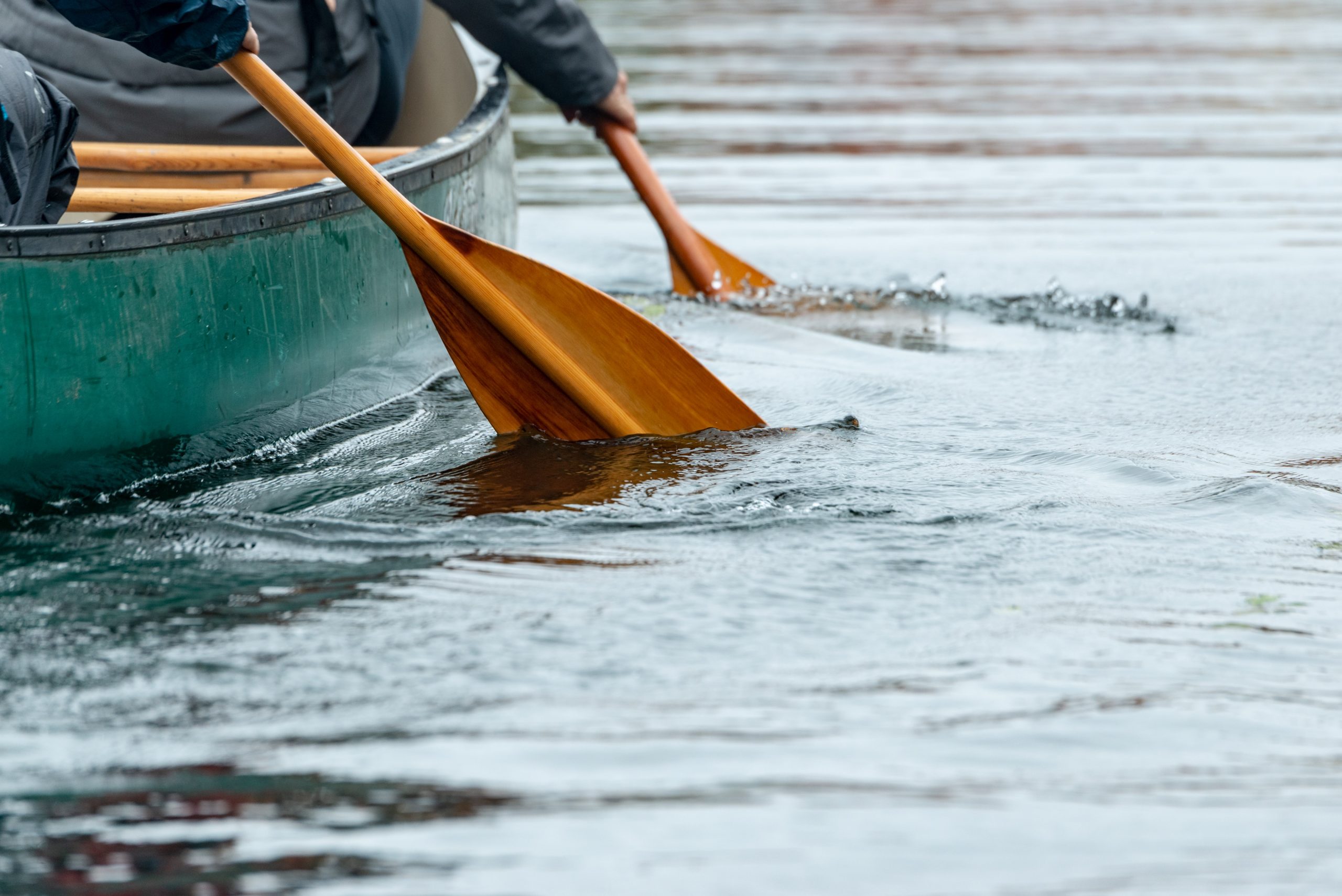 Where can a paddle take you?