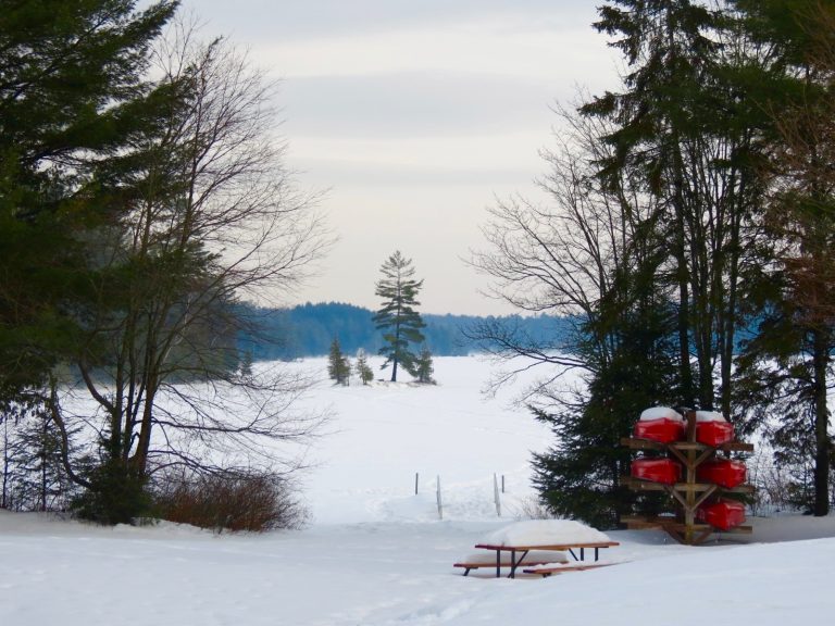 Frances Anne Hopkins: documenting the lives of voyageurs through art