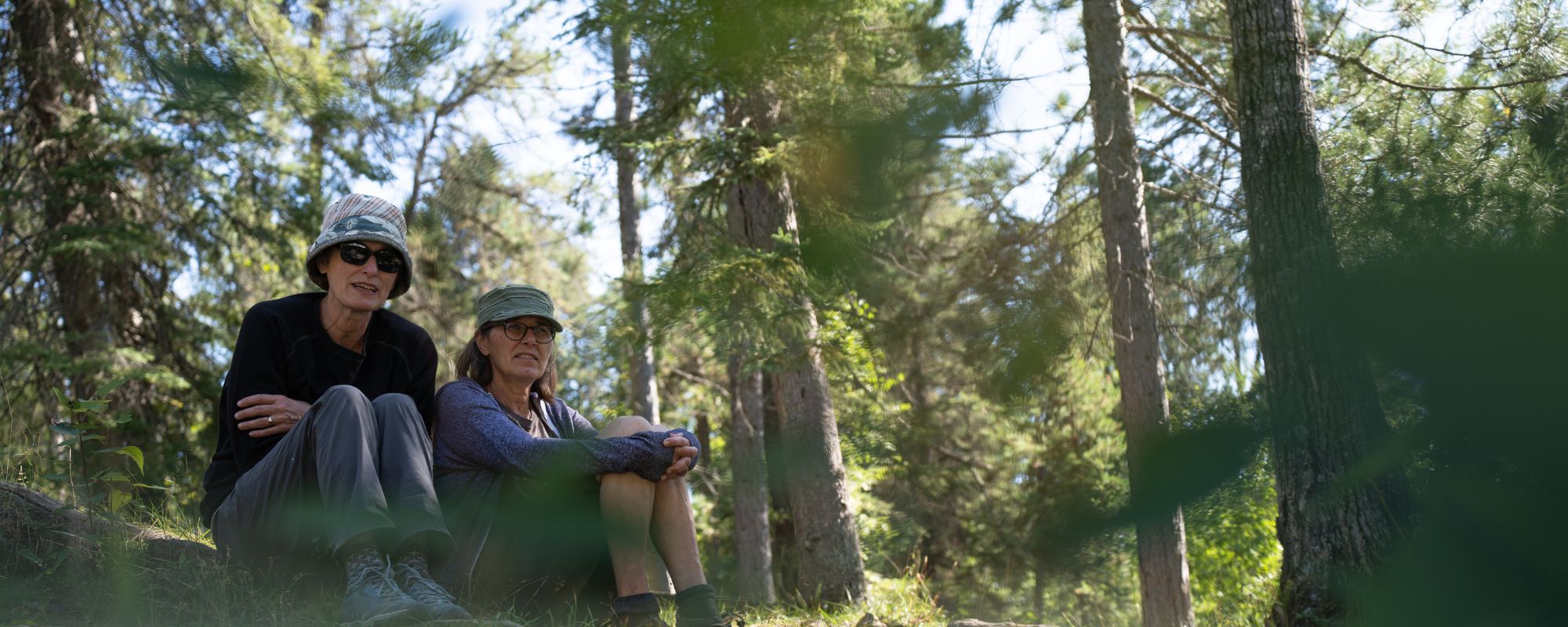 "Waldeinsamkeit”: solitude in the forest