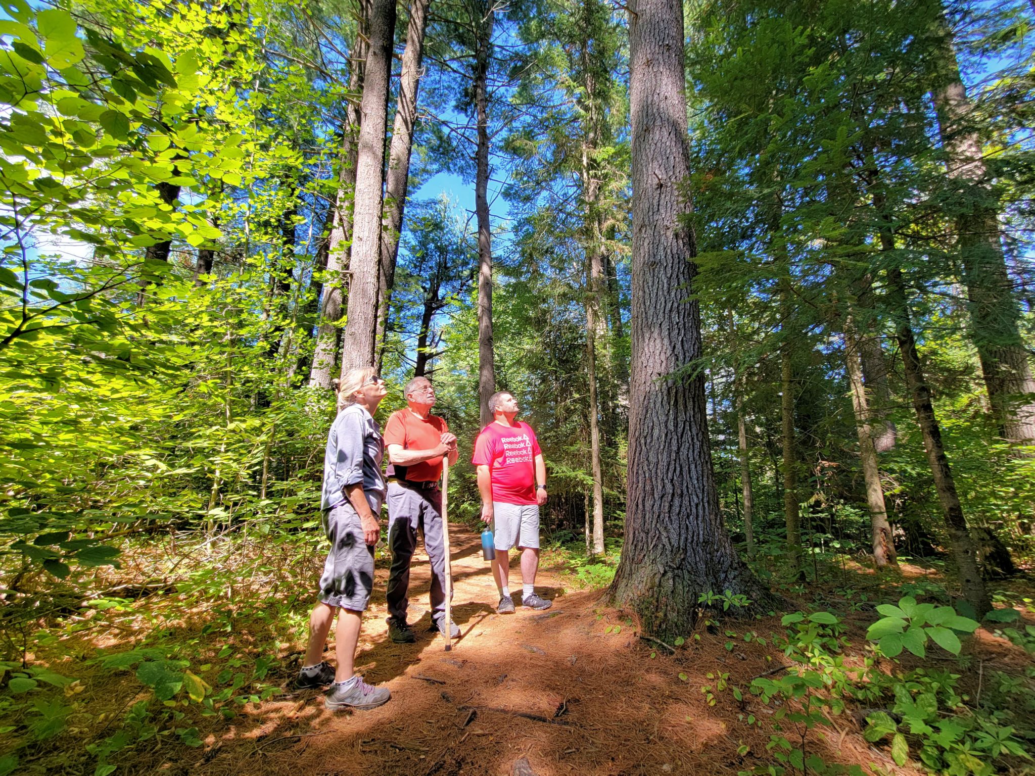 Free Day Use on July 18 at Ontario Parks - Ontario Parks Blog