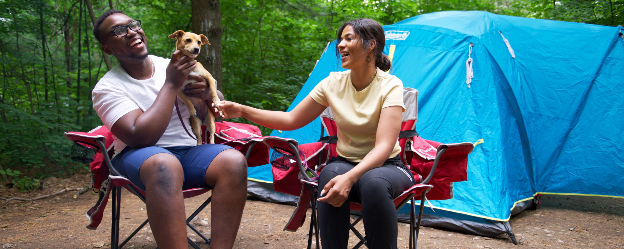 5 destinations de rêve pour les chiens à Parcs Ontario - Blogue Parcs ...