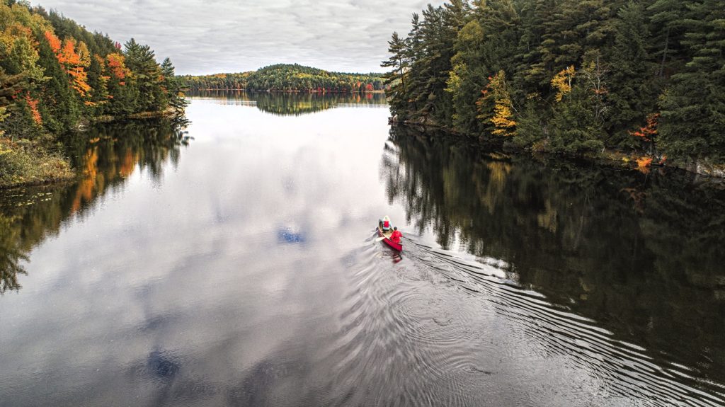 Les trilles de l'Ontario - Blogue Parcs Ontario