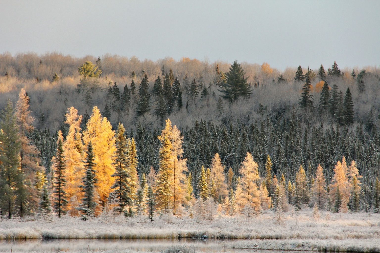 Embracing the beauty of late fall
