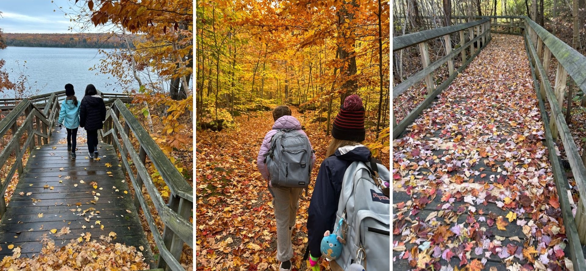 When the classroom merges with the forest - Ontario Parks Blog