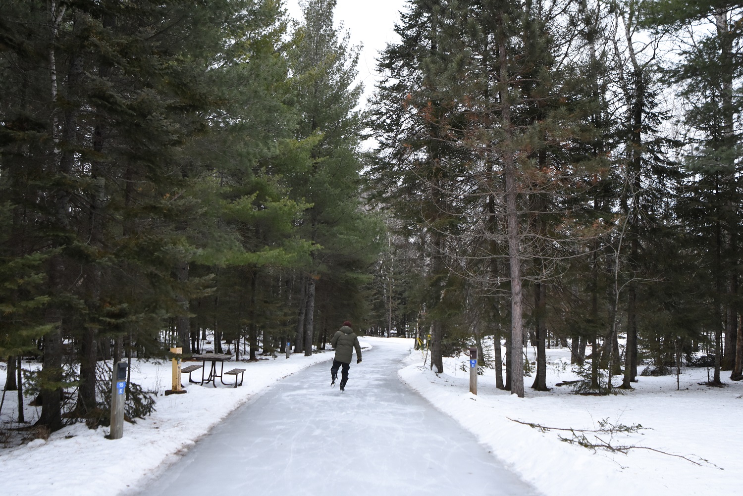 5 reasons to visit Sleeping Giant Provincial Park - Ontario Parks Blog
