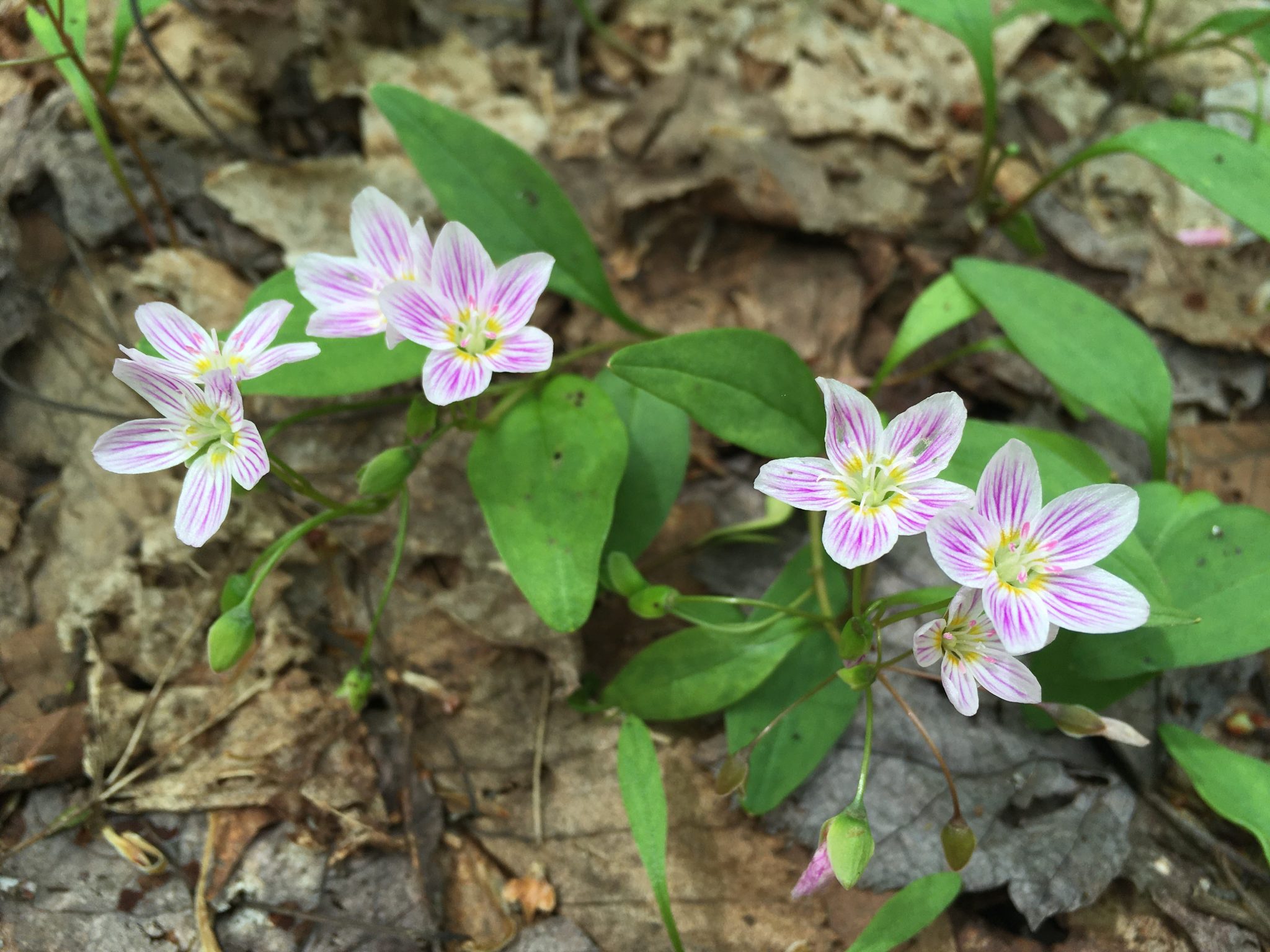 Your guide to visiting Lake Superior in spring - Ontario Parks Blog