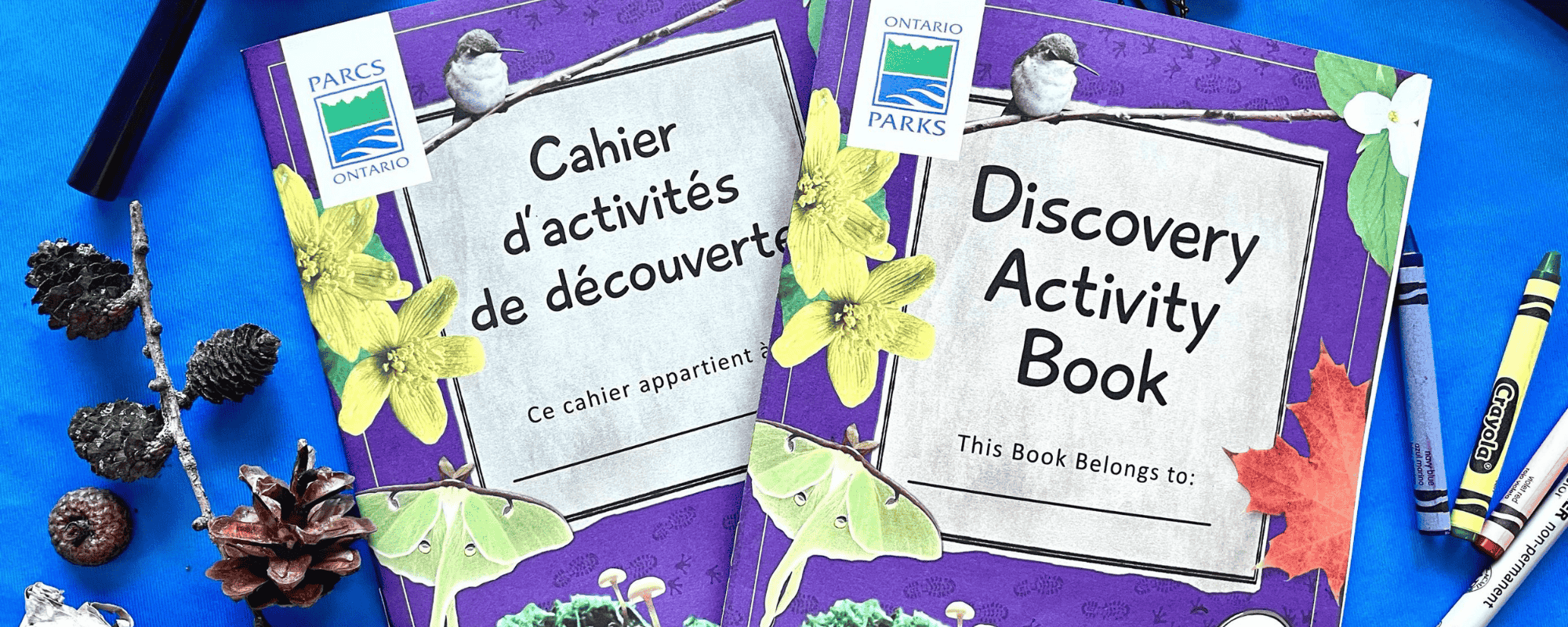 Your next adventure companion: the Discovery Activity Book - Ontario ...