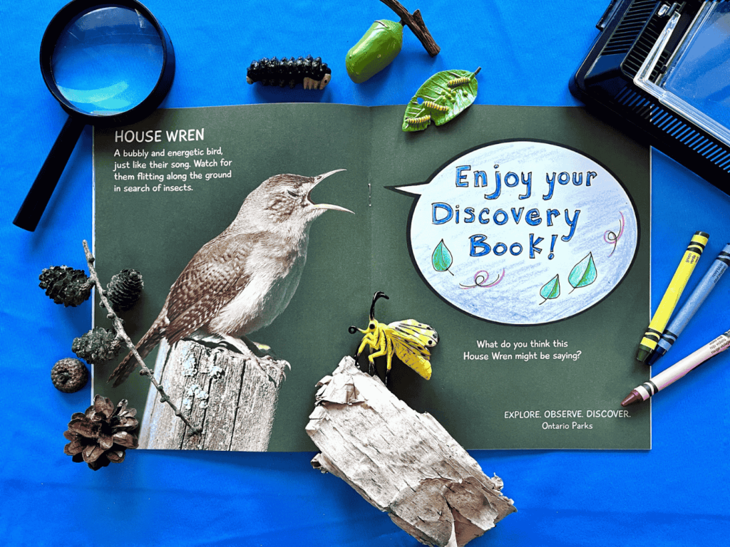 Skate through a winter wonderland on the MacGregor Point ice trail