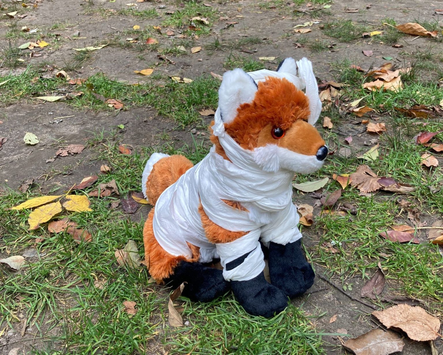 6 tips for reserving an Ontario Parks campsite | Ontario Parks