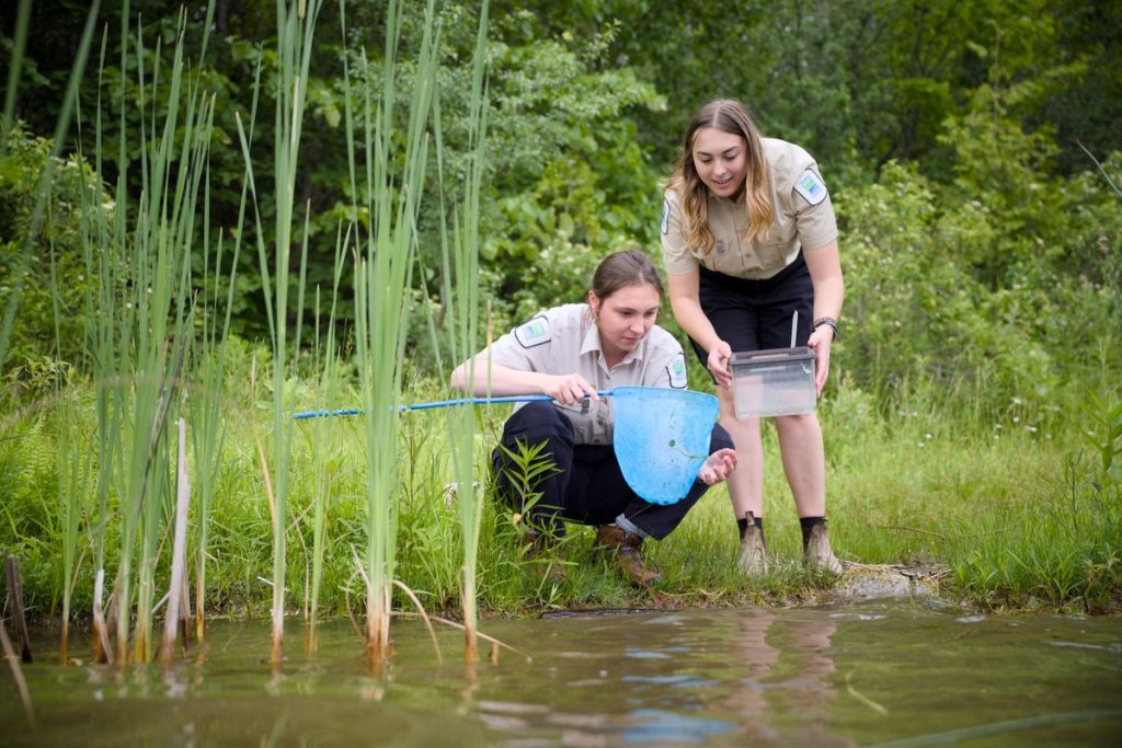 Inspired by Ontario Parks