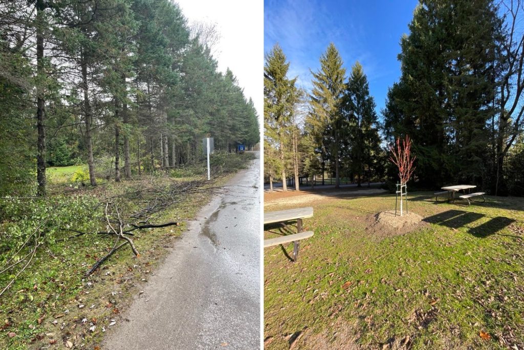 How park staff fought invasive species in 2025 - Ontario Parks Blog